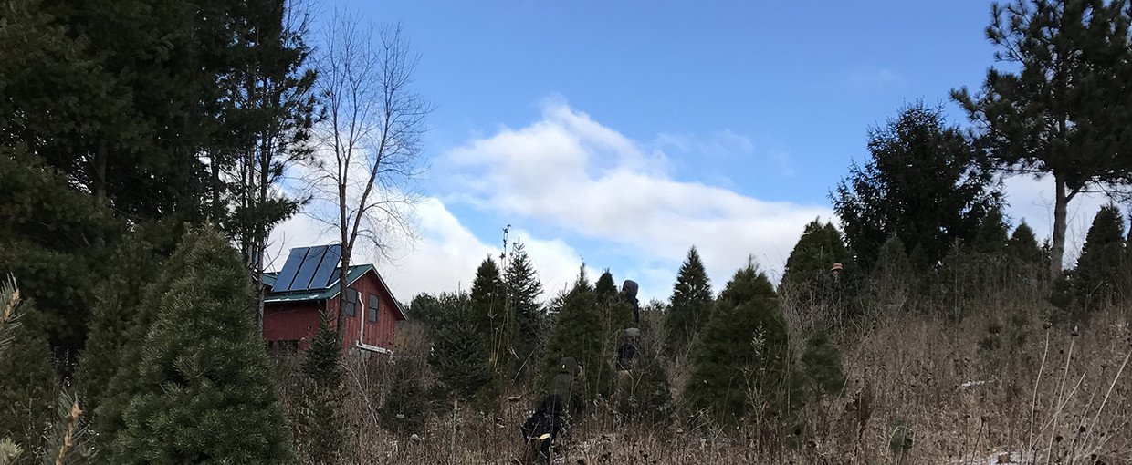 Fossils from the Great Ordivician Diversification Event | News ...